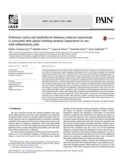 Pdf Prefrontal Cortex And Mediodorsal Thalamus Reduced Connectivity Is Associated With Spatial