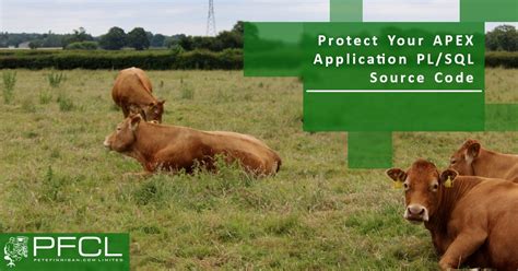 Limited On Linkedin Oracleace Protect Plsql