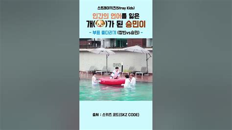 [승민] 댕댕이 승민🐶 스키즈코드 스트레이키즈 승민 Youtube