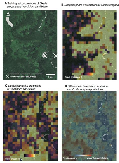 Fig S19 Deepbiosphere Captures Interesting Co Occurrence Patterns In