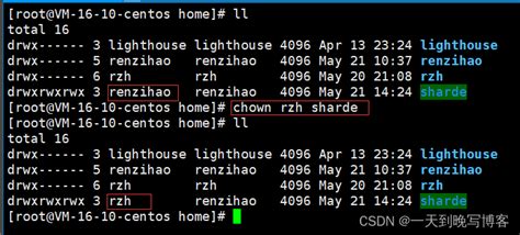 Linux权限 Csdn博客