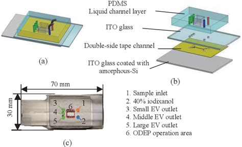 Figure 1 From Sorting Of Extracellular Vesicles By Using Optically Induced Dielectrophoresis On