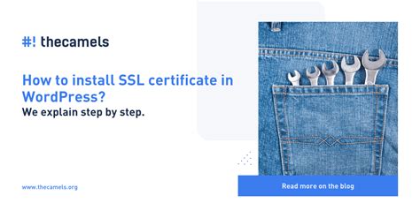 SSL Certificate For WordPress A Guide Thecamels Org