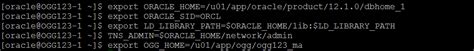 Oracle GoldenGate Microservices Installation And Configuration ORACLE SCN