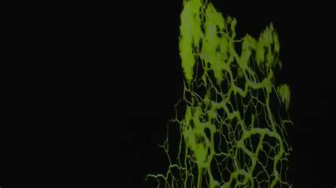 A Big Brainless Unicellular Yellow Blob That Moves Eats And Repairs