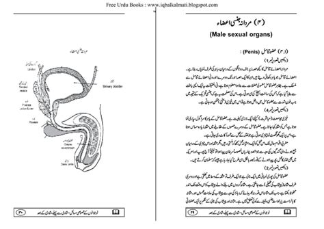 Sex education in urdu book by doctor syed mubeen akhtar اسلامی نکاحشادی بیاہ PDF