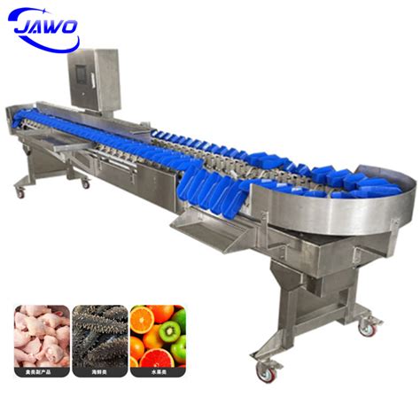 Shrimp Grading Machine Digital Weighing Scale Weight Sorting Machine For Crab Clam Fish Shrimp Grading Machine Digital Weighing Scale Weight Sorting Machine For Crab Clam Fish