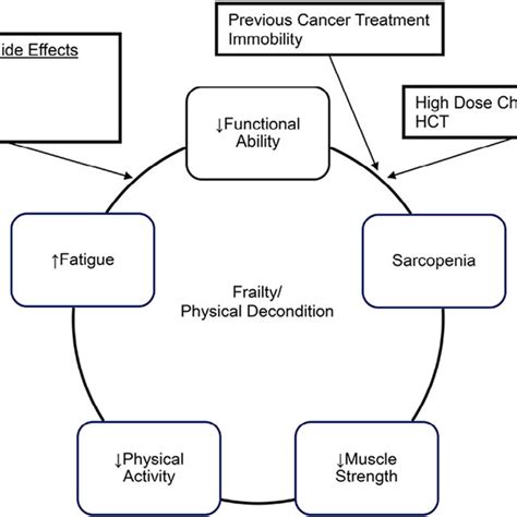 characterising frailty