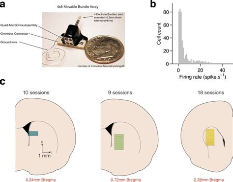 Figures And Data In Striatal Dynamics Explain Duration Judgments Elife