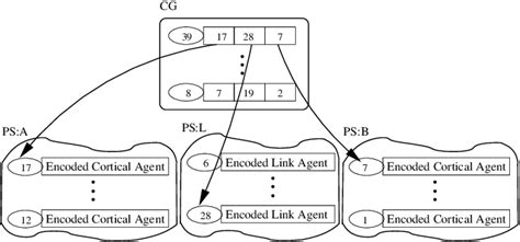 A Schematic Overview Of The Coevolutionary Process Cg Is Represented