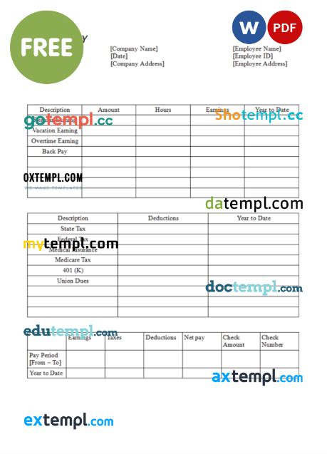 Free Paycheck Stub Fake Template In Word And PDF Format Version 3 Faketemplate Ru