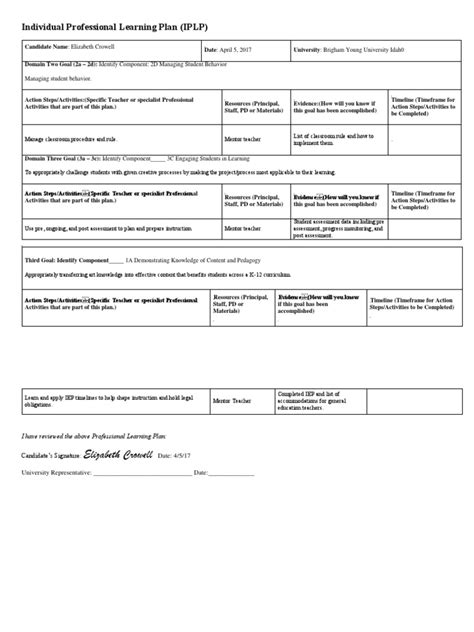 Sample Individual Professional Learning Plan Individualized Education Program Mentorship