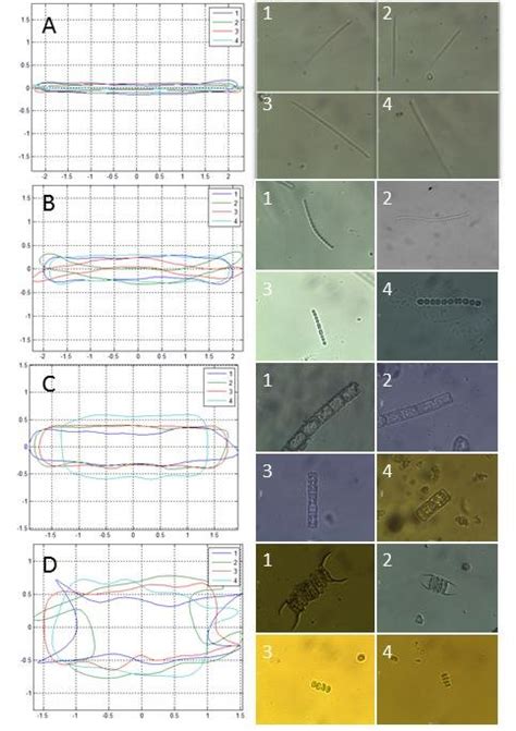 Fourier Descriptors For 4 Genera Of Four Different Images Taken In