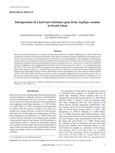 Pdf Introgression Of A Leaf Rust Resistance Gene From Aegilops