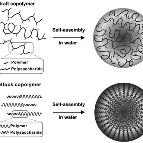 Graft And Block Copolymers Self Assembly Download Scientific Diagram