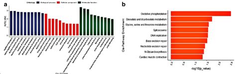 Go Enrichment Analysis And Kegg Pathway Enrichment Analysis Of The