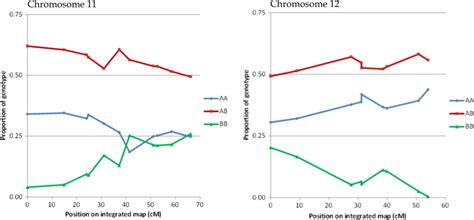 Skewness On The Top Of Chromosome 11 And The Bottom Of Chromosome 12 Download Scientific
