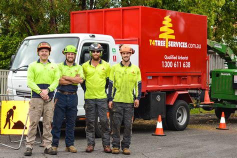 Tree Trimming Pruning Melbourne T Tree Services