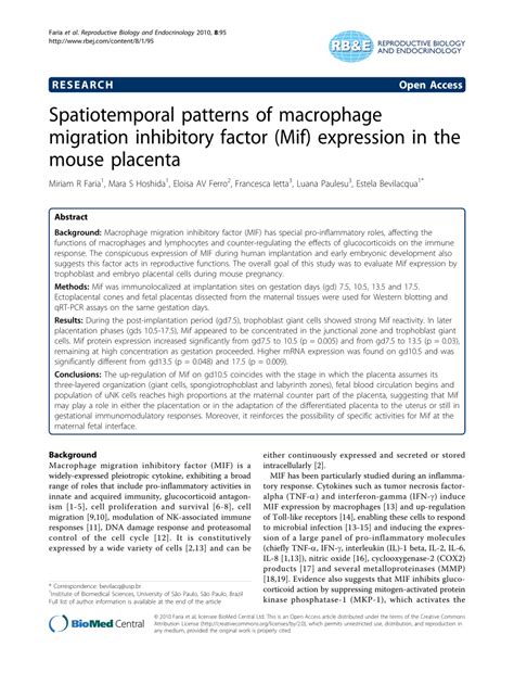 Pdf Spatiotemporal Patterns Of Macrophage Migration Inhibitory Factor