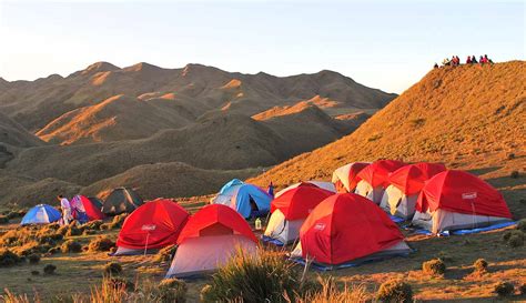 Mt Pulag Hike What To Bring Do See And Expect Guide