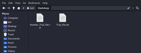 HASHDEEP A Digital Forensics Tool In Kali Linux GeeksforGeeks