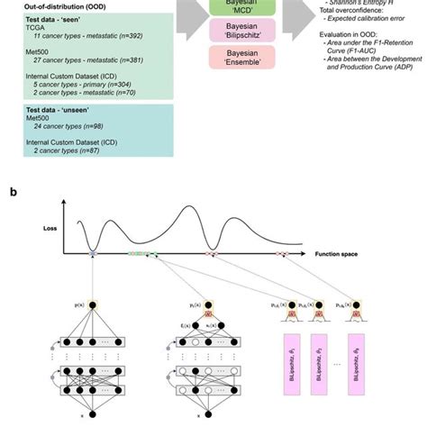 Overview Of The Study Design A Simplified Study Workflow TCGA Primary Download Scientific