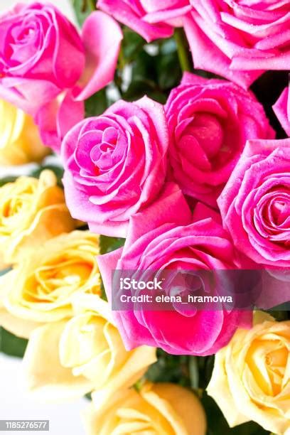 개념 결혼식 또는 발렌타인 데이 어머니의 날 카드 흰색 배경에 아름다운 노란색과 분홍색 장미 꽃다발 2월에 대한 스톡 사진 및