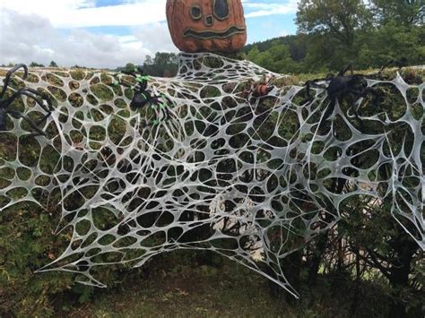 Show Me Your Beef Netting Spider Webs Halloween Forum