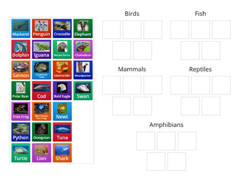 Classification Sort Group Sort
