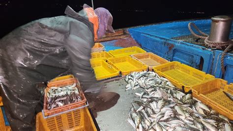 간만에 감시간 썰 ~~ Youtube