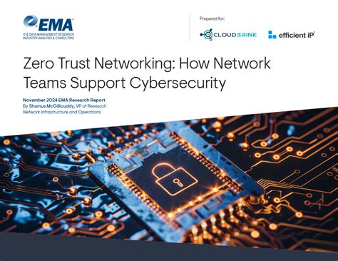 Zero Trust Networking How Network Teams Support Cybersecurity