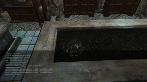 Sd Spamming Same Line In Console And Papyrus Logs Help Technical