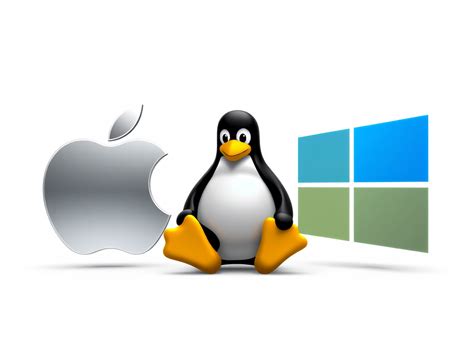 python installation guide