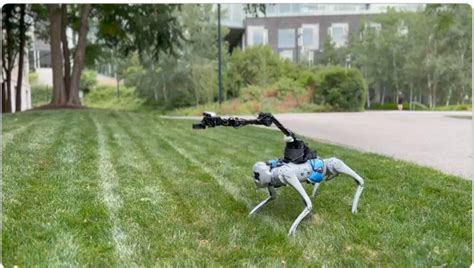 Mike Tamir Phd On Linkedin Deep Whole Body Control Learning A Unified Policy For Manipulation