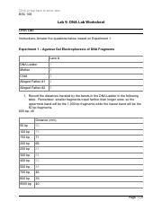 Understanding DNA Fragment Analysis In Genetics Lab Course Hero