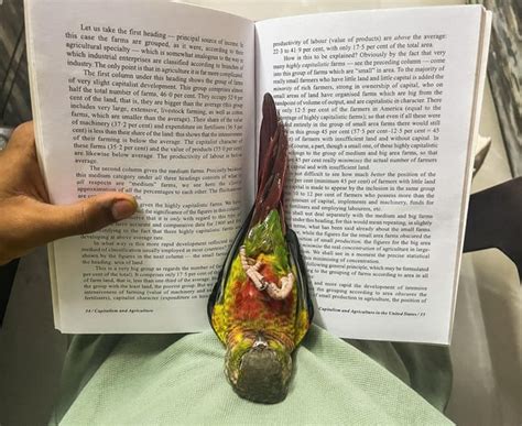 He Wont Let Me Read Today Ig Rconures