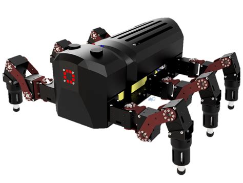 Hexapod Robots Ens Lab