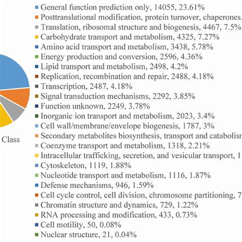 Cog Functional Classification All Of The Unigenes Aligned In The Cog