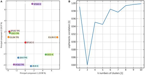 Principal Component Analysis And Rank Estimate For Non Negative Matrix Download Scientific