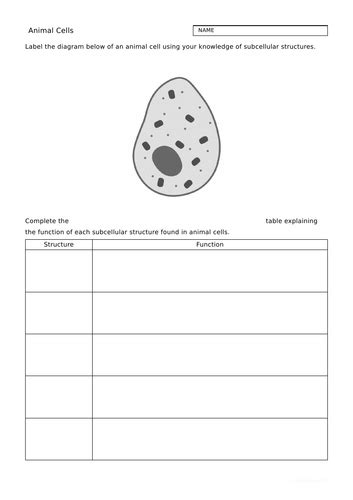 cell structures worksheets teaching resources