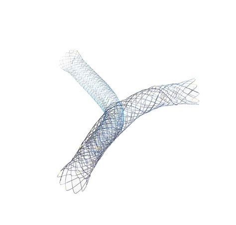Ercp Stent Pusher Catheter Diagmed