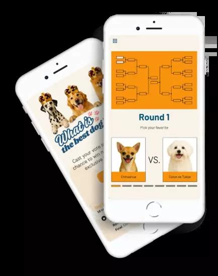 Voting Bracket Maker Create Branded Knockout Tournaments