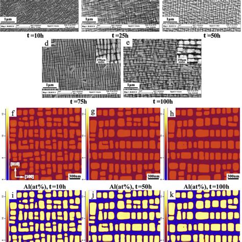 A ~ E Sem Micrographs Of Co 9al 9w At 900 °c Showing γ γ′ Structure Download Scientific