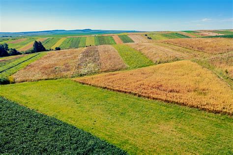 여름에 언덕에서 재배된 콩과 밀 밭의 공중 전망 시골 풍경 0명에 대한 스톡 사진 및 기타 이미지 0명 경관 곡초류 Istock