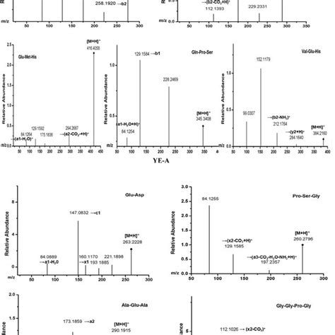 LC Q TOF Tandem Mass Spectrum ESI Of Umami Peptides Isolated From Download Scientific