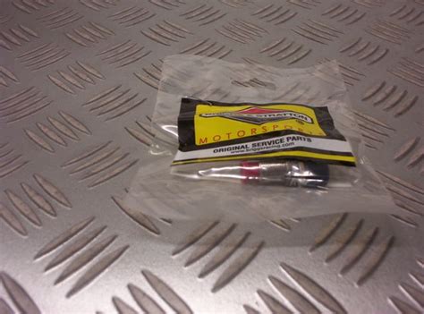Kill Switch Briggs And Stratton World Formula And Animal Racing Engi