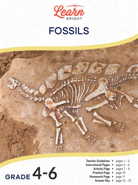 Fossils Pdf Fossil Dinosaurs Fossils Pdf Fossil Dinosaurs