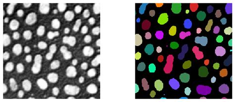 Explaining Object Classification Using Shap — Explainable Artificial