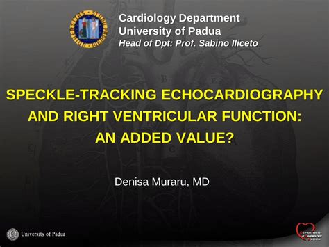 Pdf Speckle Tracking Echocardiography And Right Ventricular · Pdf Filespeckle Tracking