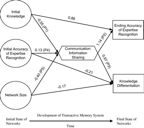Modified Model Of Transactive Memory System Development With